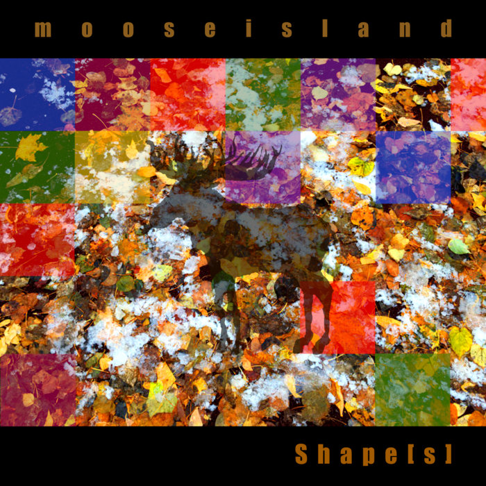 Shape[s] | m o o s e i s l a n d