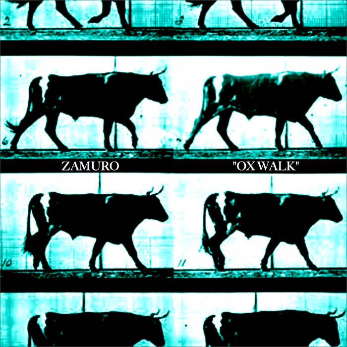 Ox Walk | Zamuro