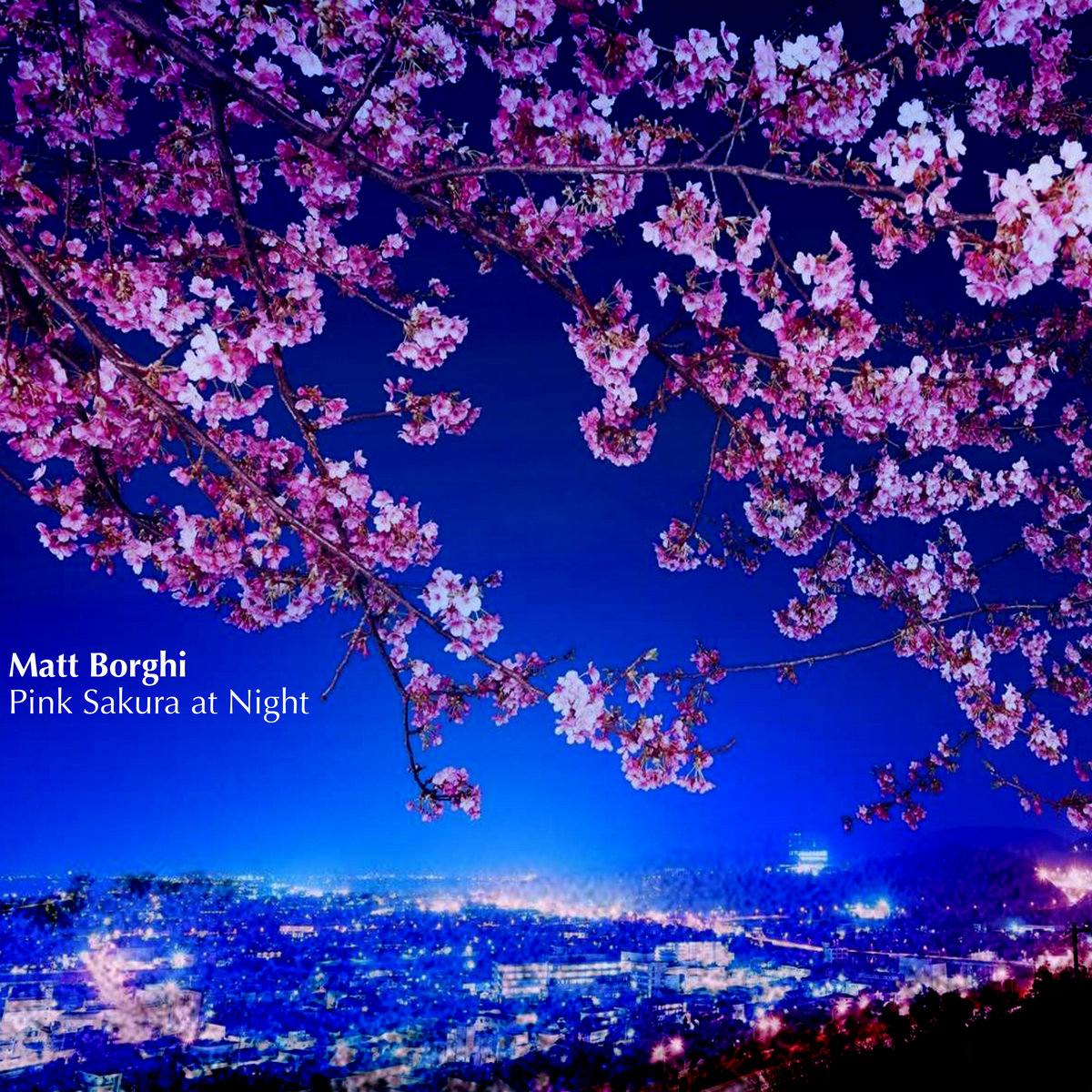 Pink Sakura at Night | Matt Borghi