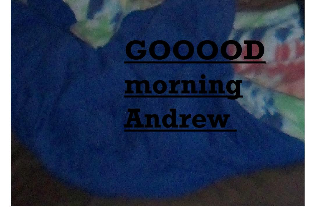 Good Morning Andrew | blonie