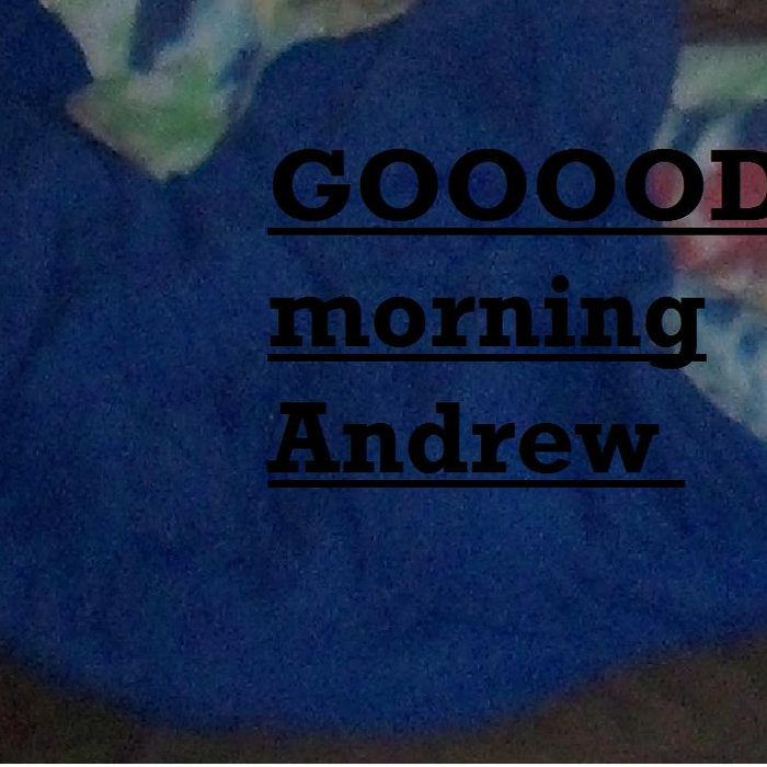 Good Morning Andrew | blonie