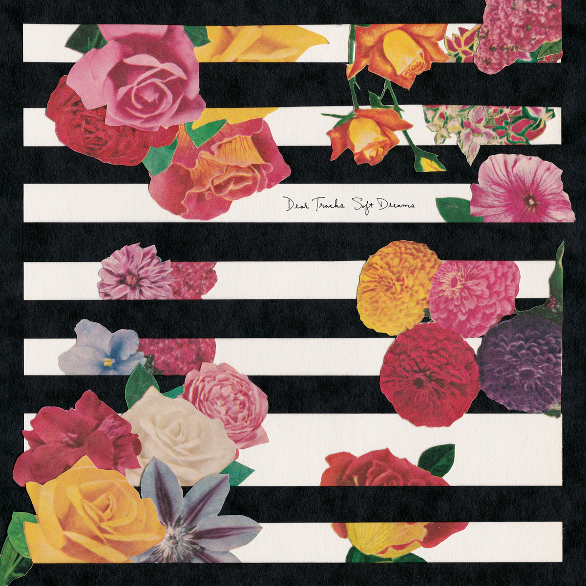 Soft Dreams | Dear Tracks