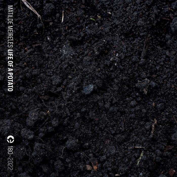 Life of a Potato | Matilde Meireles | Crónica