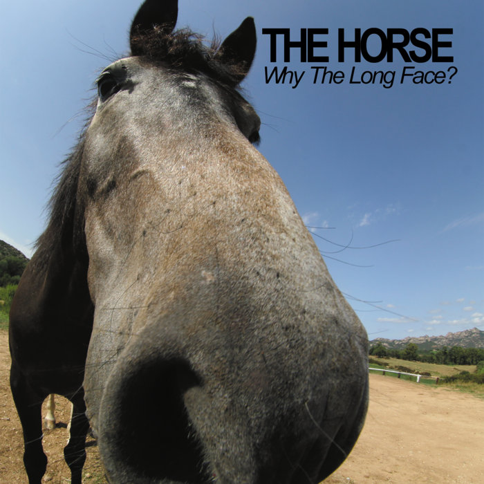 Why the Long Face? | The Horse | Jack Dale