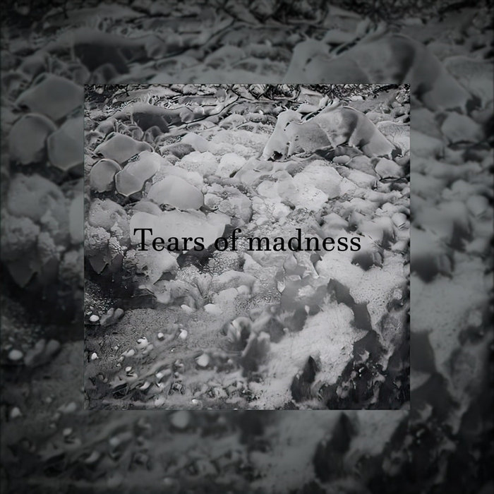 Tears of madness | Deethree's Orchestra