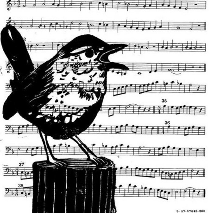 Original Compositions | jake riley | yake