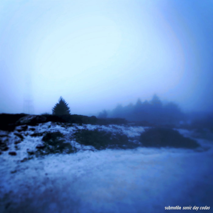 Sonic Day Codas | Submotile