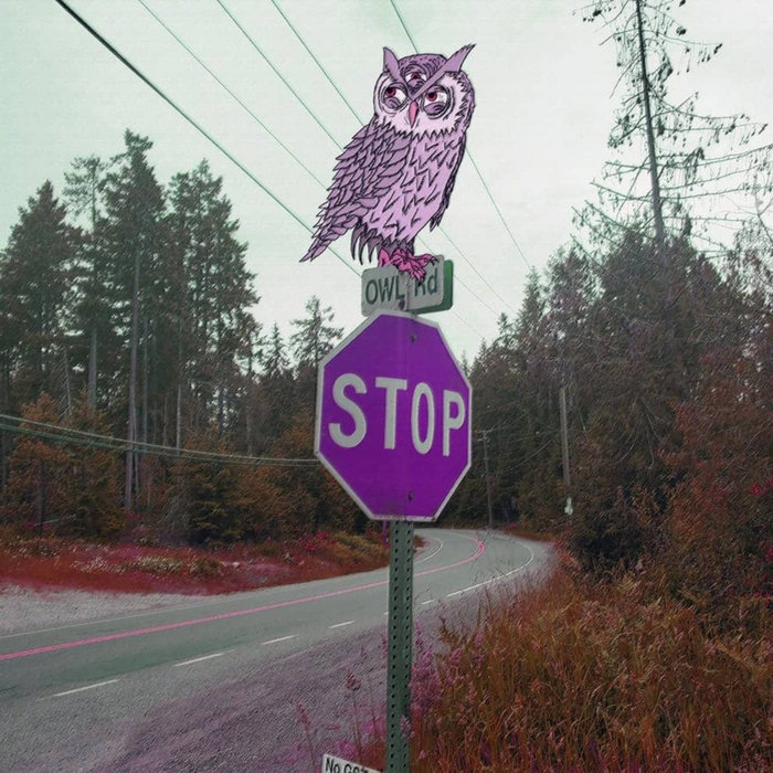 Owl Road | Road Owls