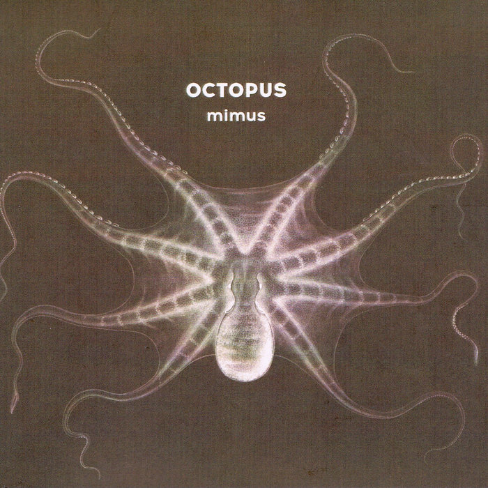 mimus | Ernesto Rodrigues Octopus | Bruno Parrinha