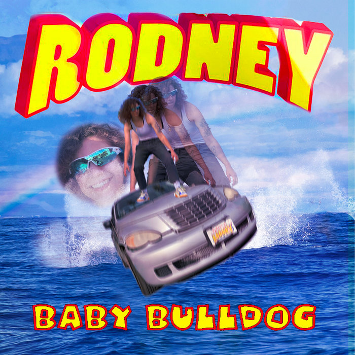 Rodney | Baby Bulldog