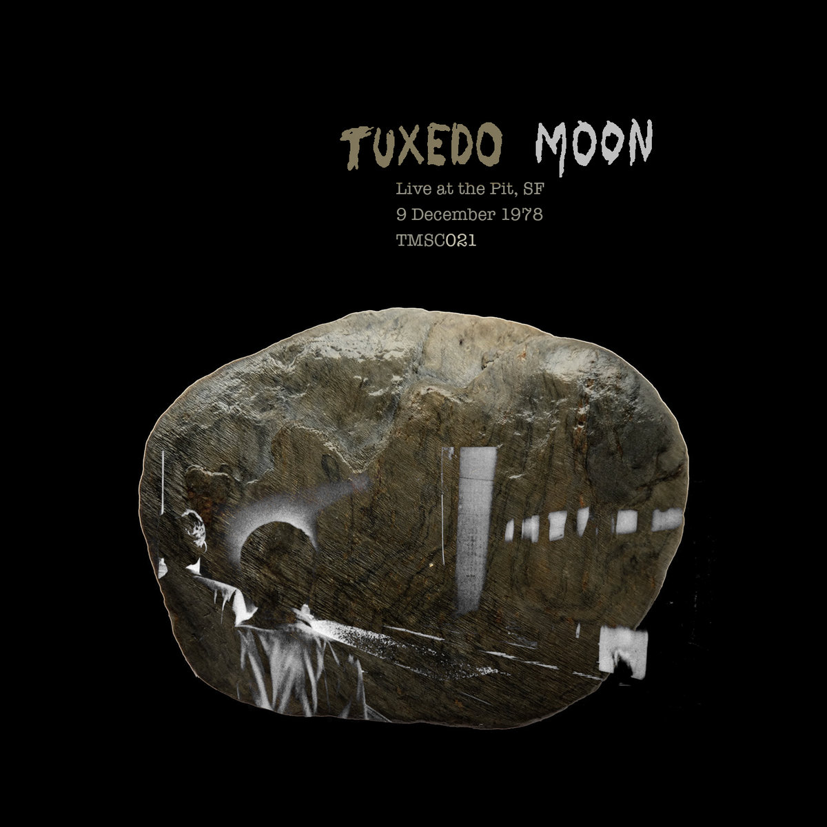 Live at The Pit, 1978 | Tuxedomoon | Tuxedomoon Archives