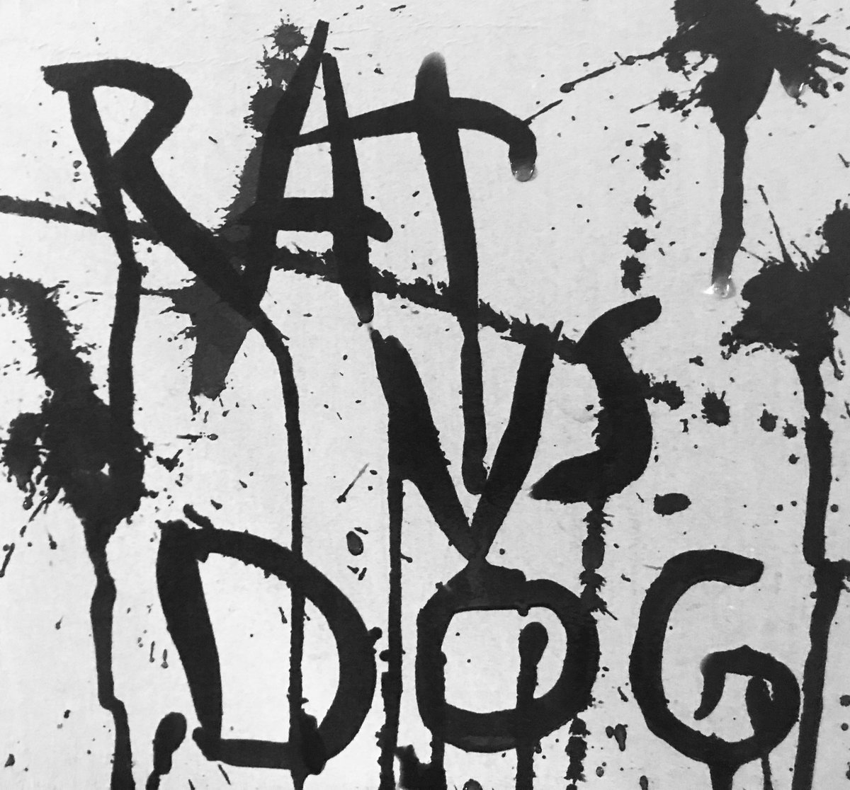 Rat vs Dog (Album) | DOGS h8 RATS
