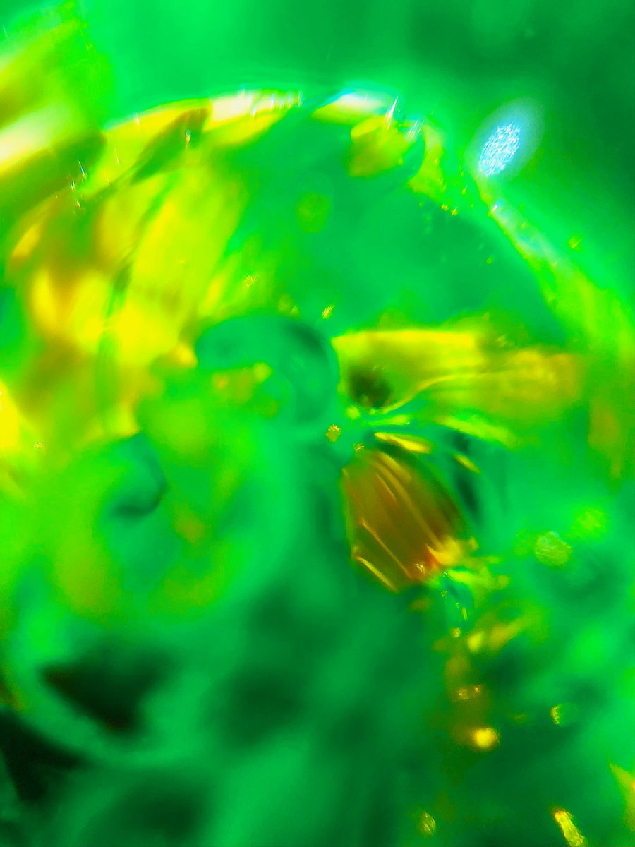 Viridescent | Joey C Yates | Joey C. Yates