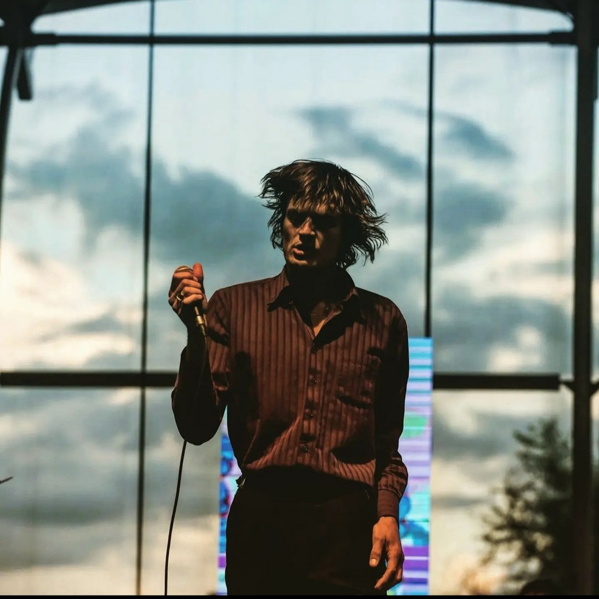 Live In The Park | Calvin Love | CALVIN LOVE