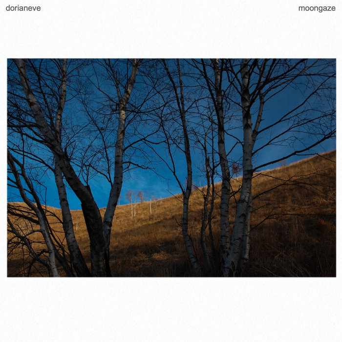 moongaze | Dorianève