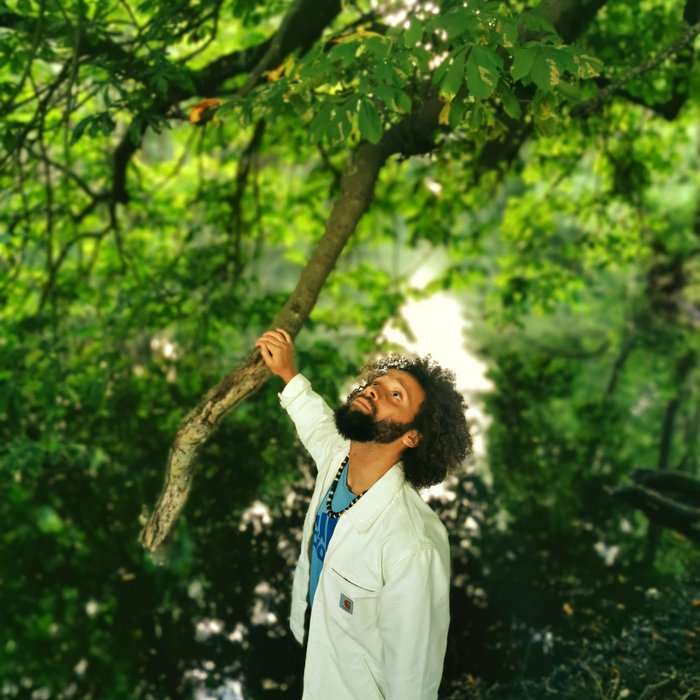 Elation | Wonky Logic