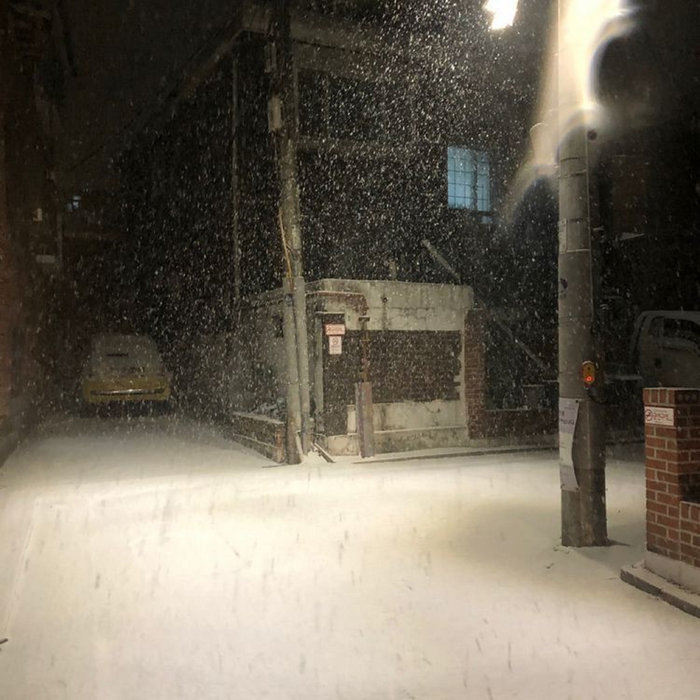 Perfect Black | TOKYOPILL