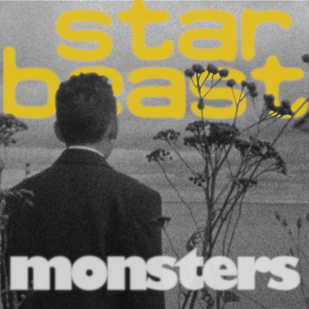 Monsters | Star Beast