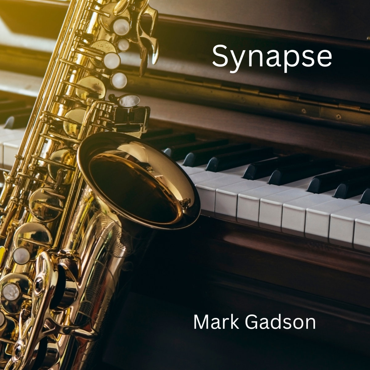 Synapse | Mark Gadson