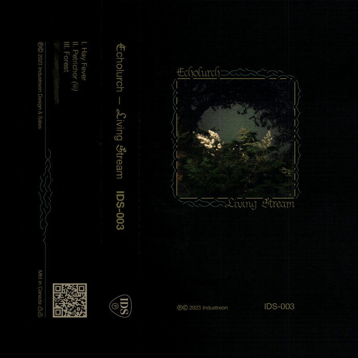 Living Stream | Echolurch