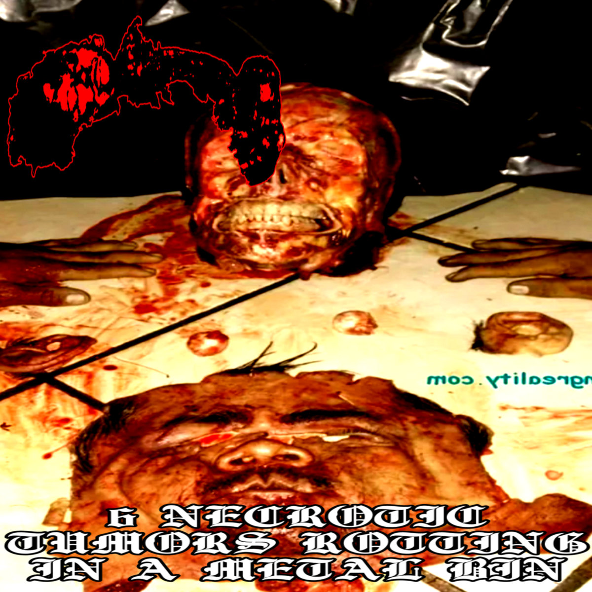 6 NECROTIC TUMORS ROTTING IN A METAL BIN | Mucosal Arthritis