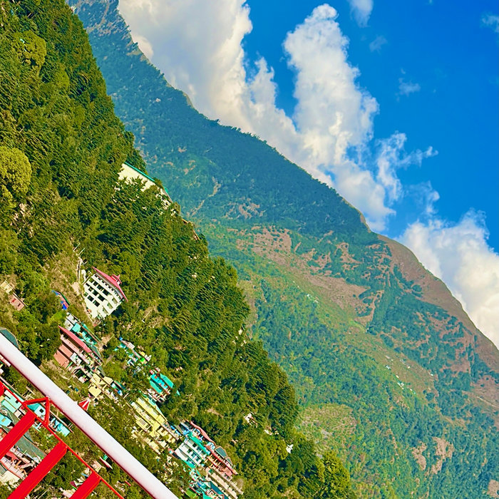 tiger balm | five mango trees