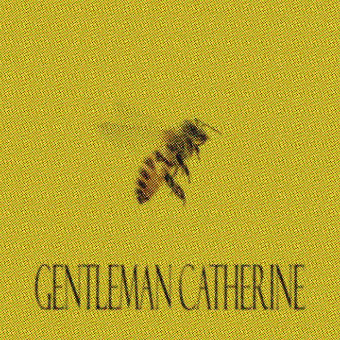 The Bee | Gentleman Catherine