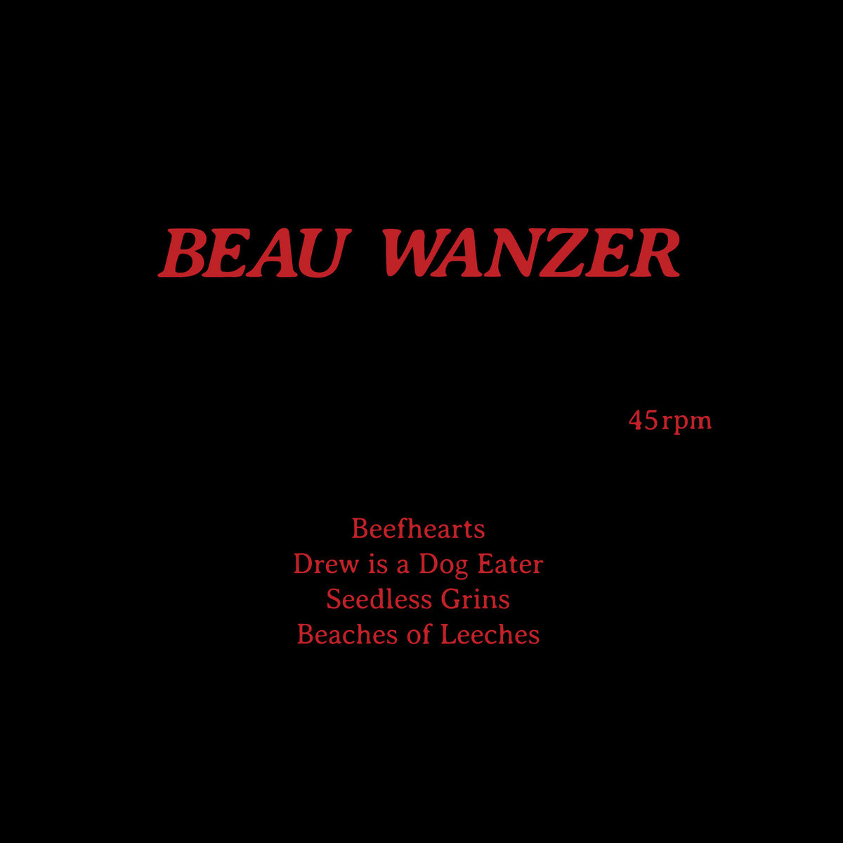BEAU WANZER - S/T 12" | BEAU WANZER