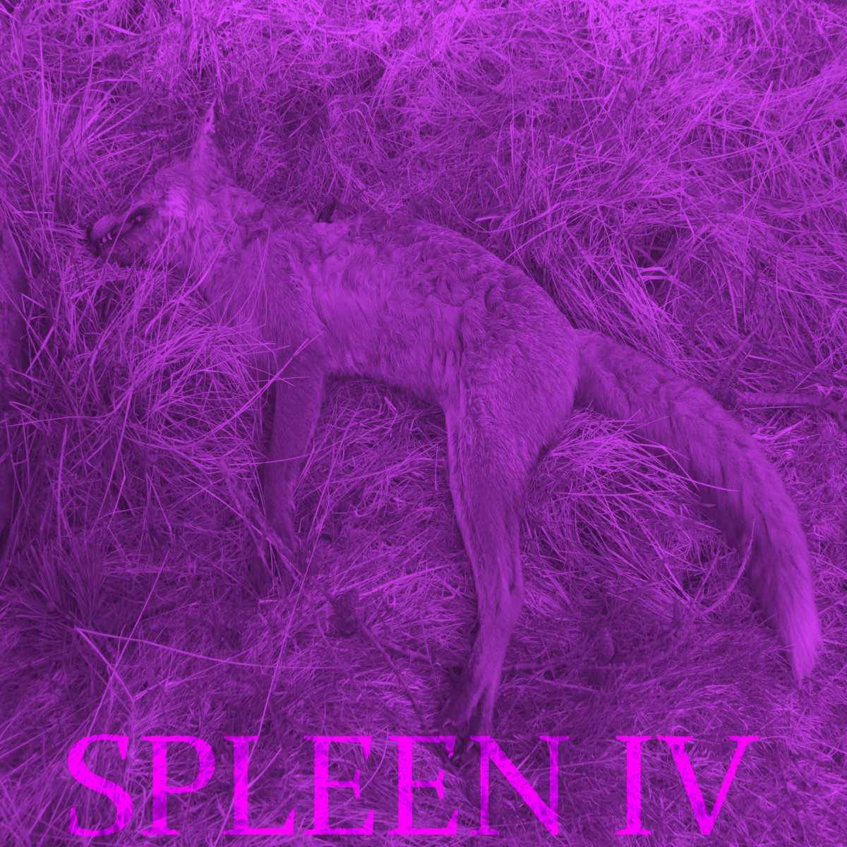 Spleen IV | Marlon Dean Clift