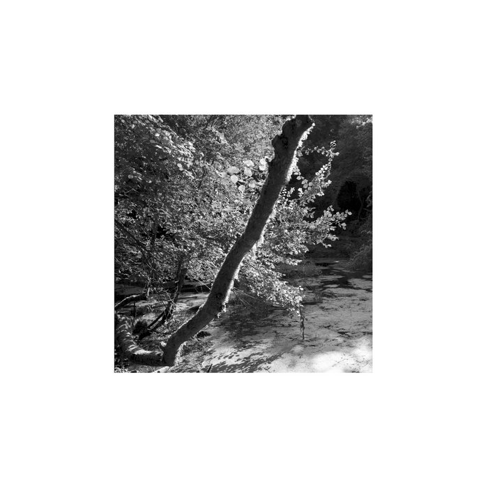 Peace and Pleasure | Maurizio Abate & Luca Venitucci | Maurizio Abate