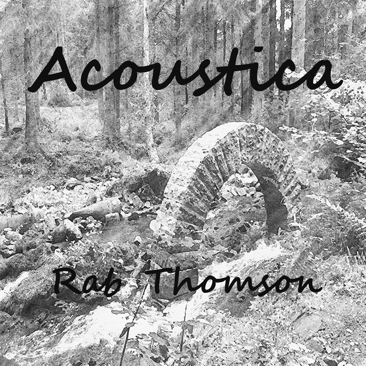 Acoustica | Rab Thomson