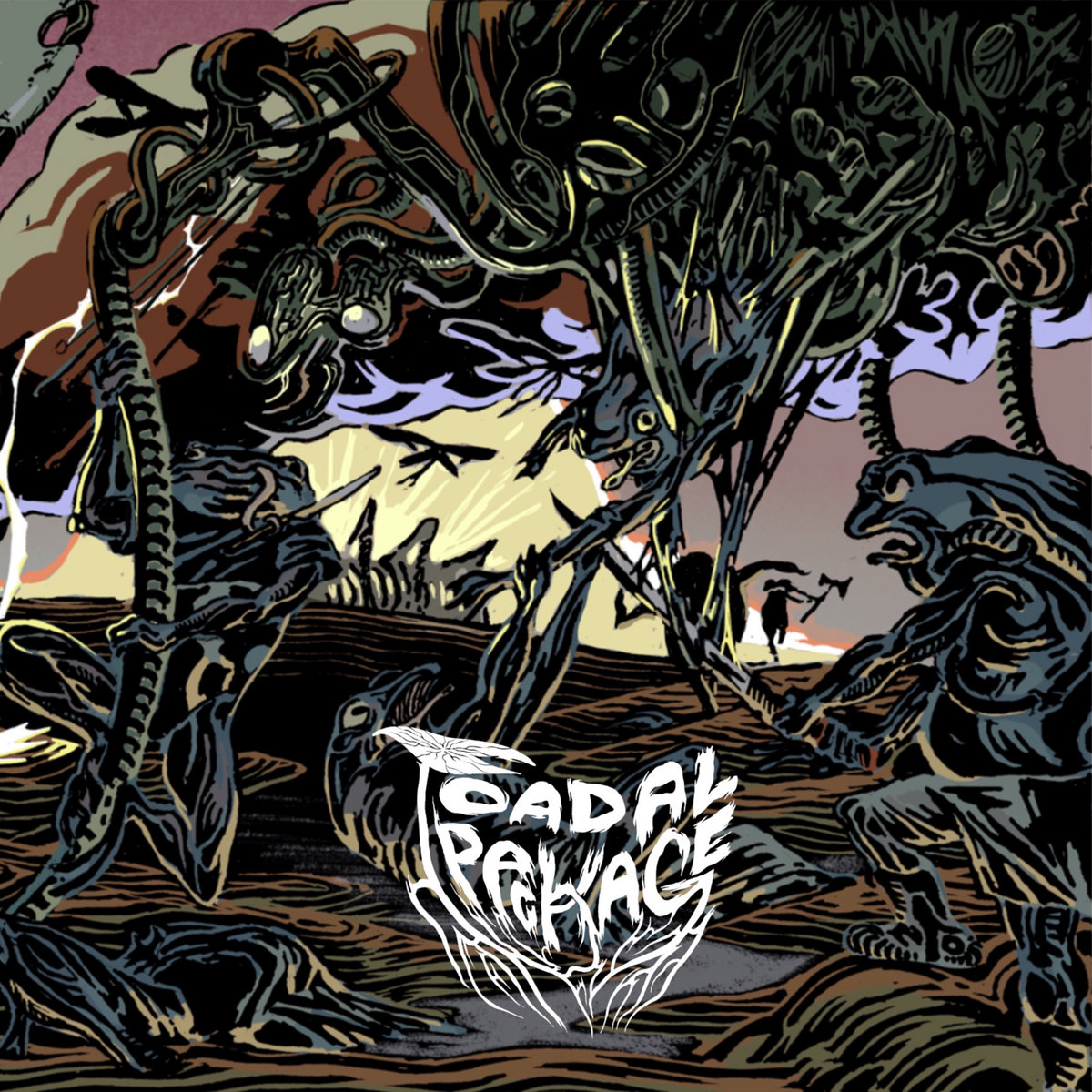 Toadal Package | Toadal Package