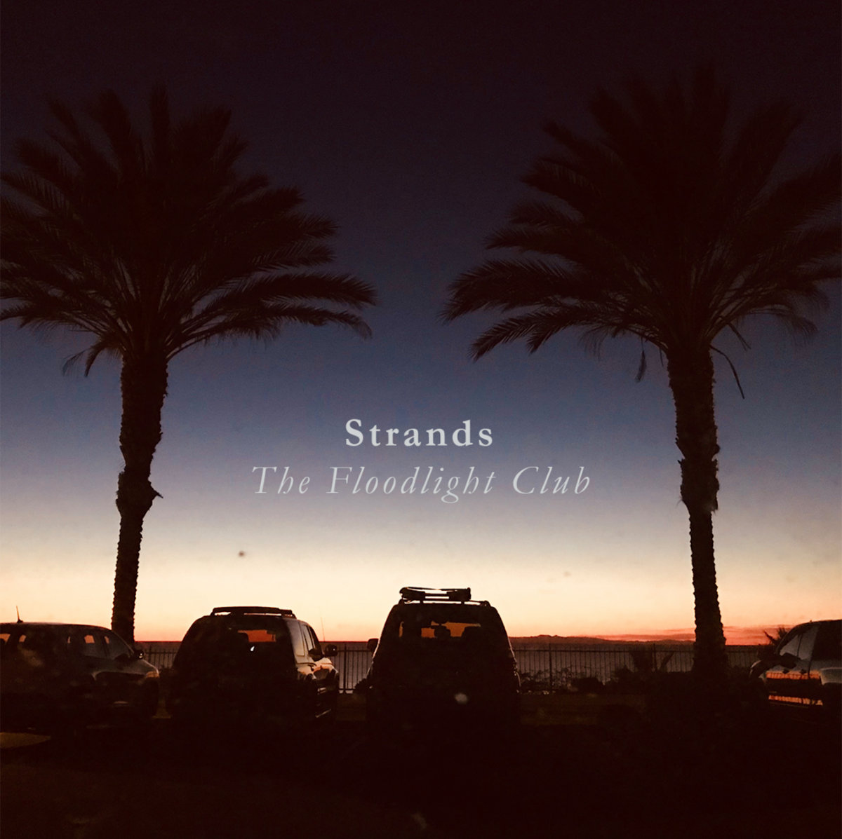 Strands | Kevin Flood | The Floodlight Club