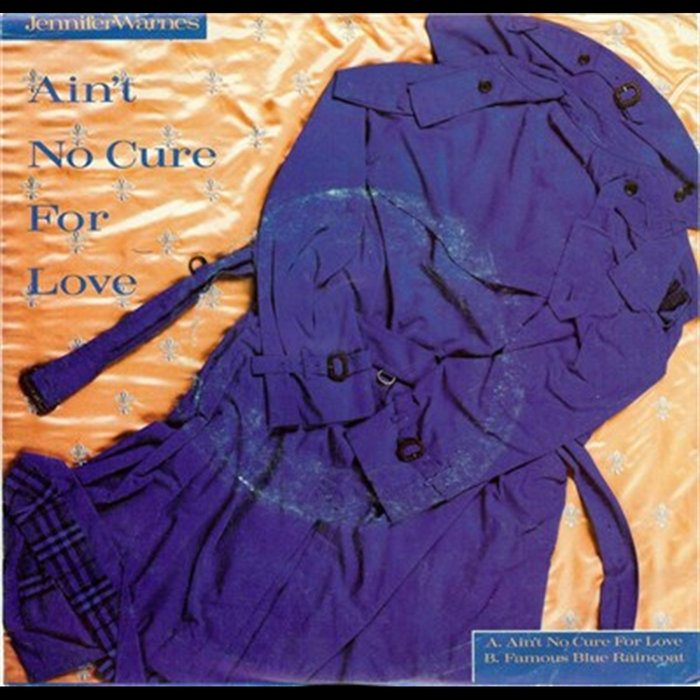 Aint No Cure For Love | Jennifer Warnes