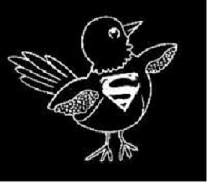 The SuperBird | Open Book Quiz