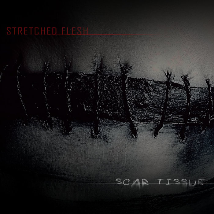 Scar Tissue | Stretched Flesh | NOVA INPULSA