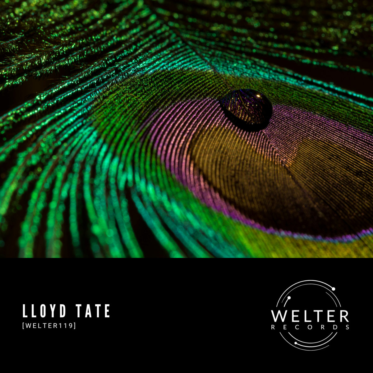 Lloyd Tate [WELTER119] | Welter Records