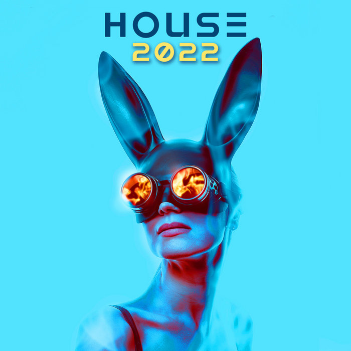 House 2022 | DJ Acid Hard House | EDM Records