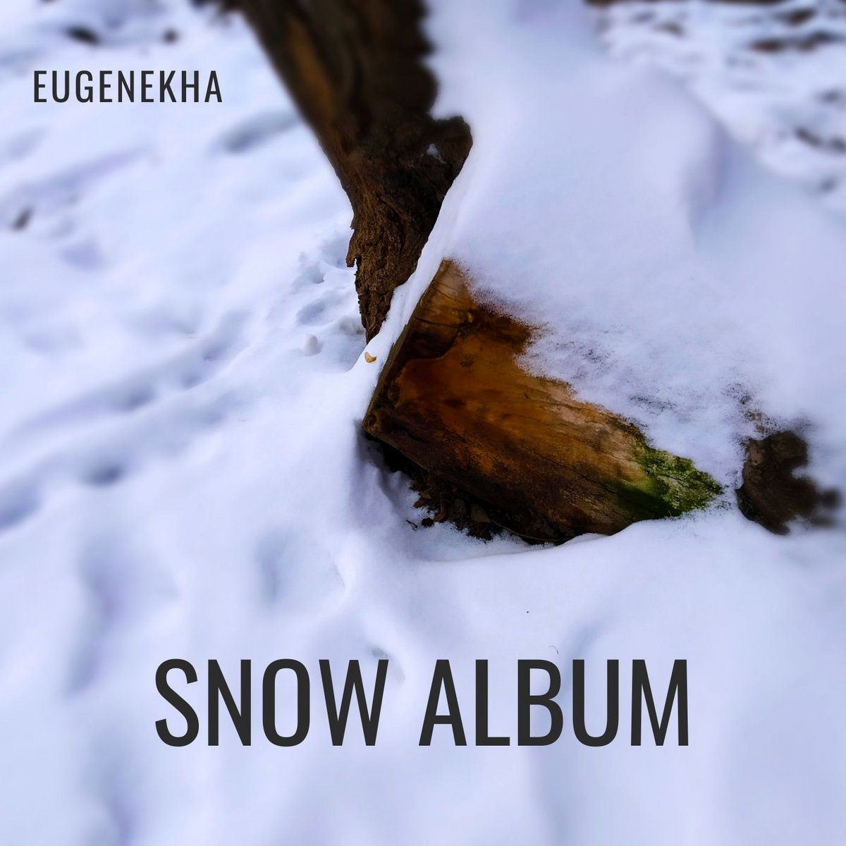 Snow Album [45 Echoes Sounds, 2021] | EugeneKha