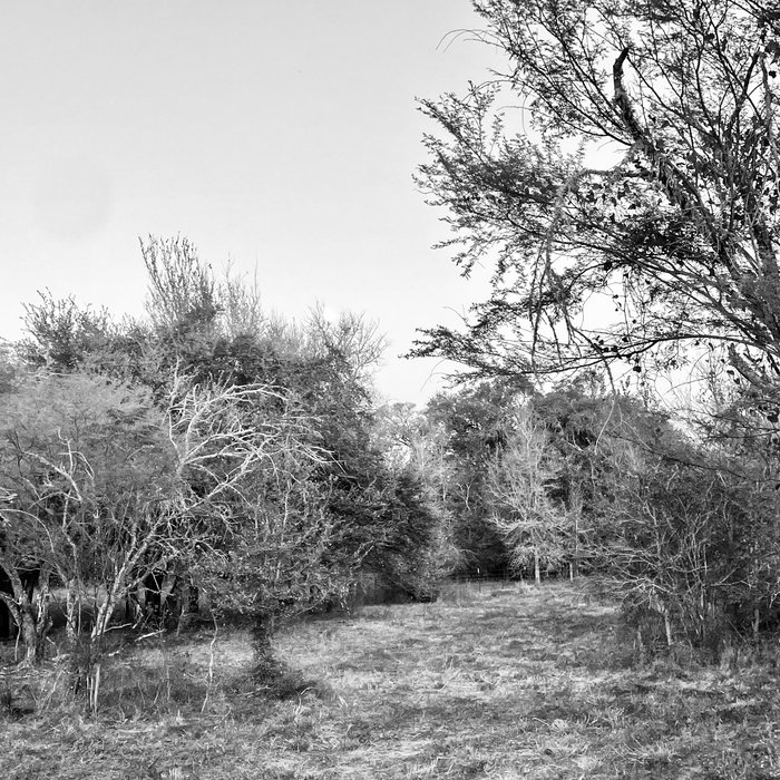 The Man Who Shot Liberty Valance Tunes | Will and Layelah Martin | Will ...