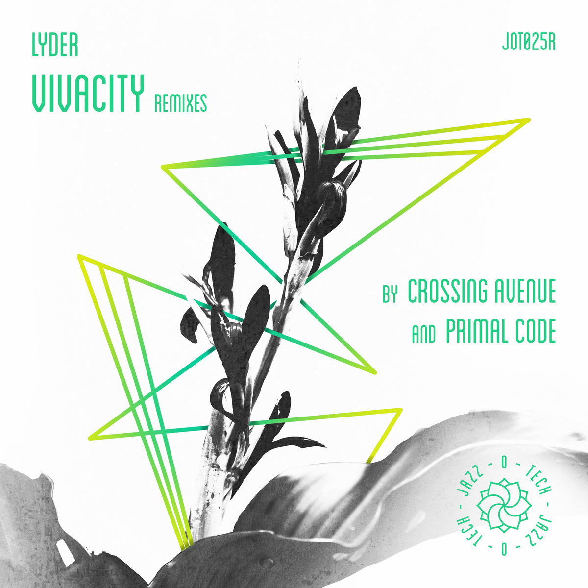 Lyder - Vivacity (Remixes) | Primal Code, Crossing Avenue | Lyder