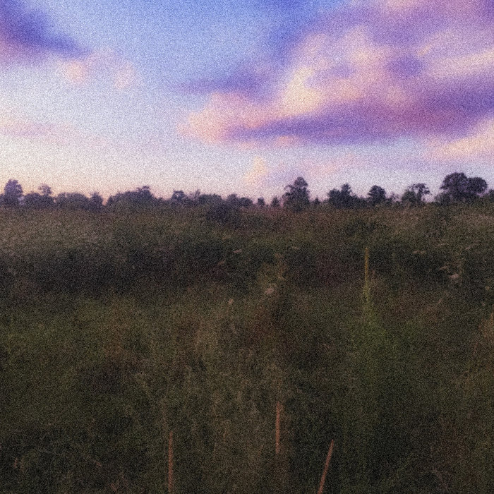 Friendship Fields | Samskara