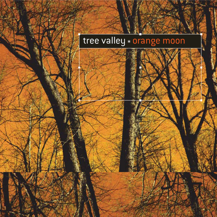 Orange Moon | Tree Valley | Skud & Smarty Records