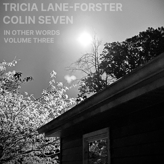 in other words vol 3 | Colin Seven, Tricia Lane Forster | Colin Seven