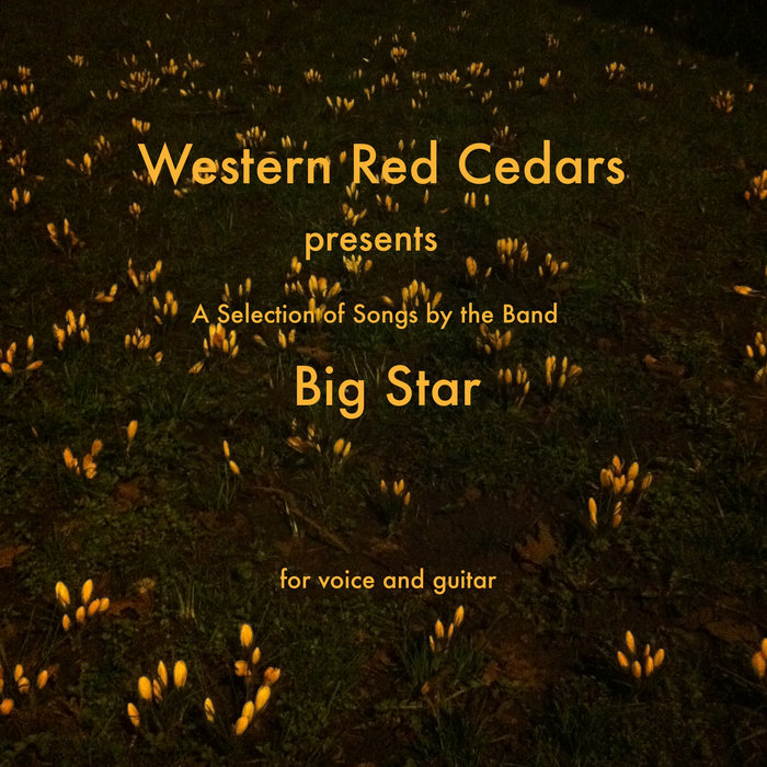 big-star-songs-western-red-cedars