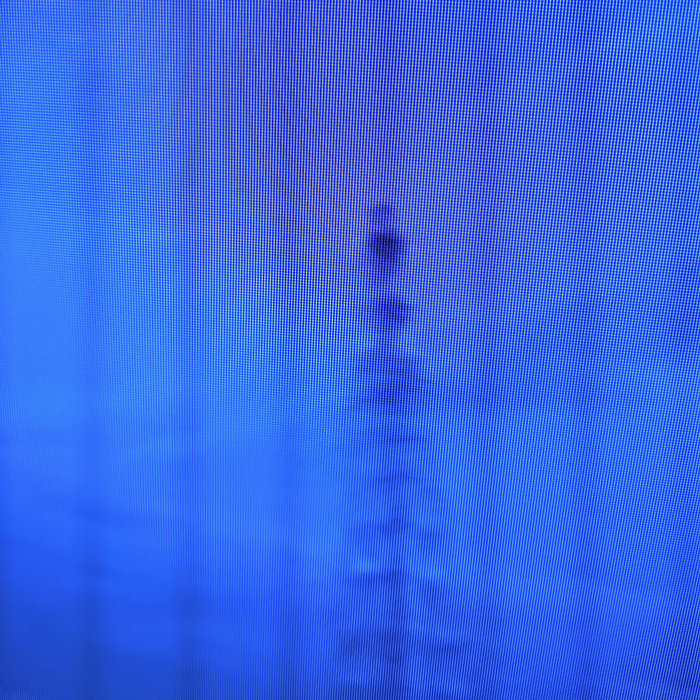 song of the sentinel | Simon Bridgestock