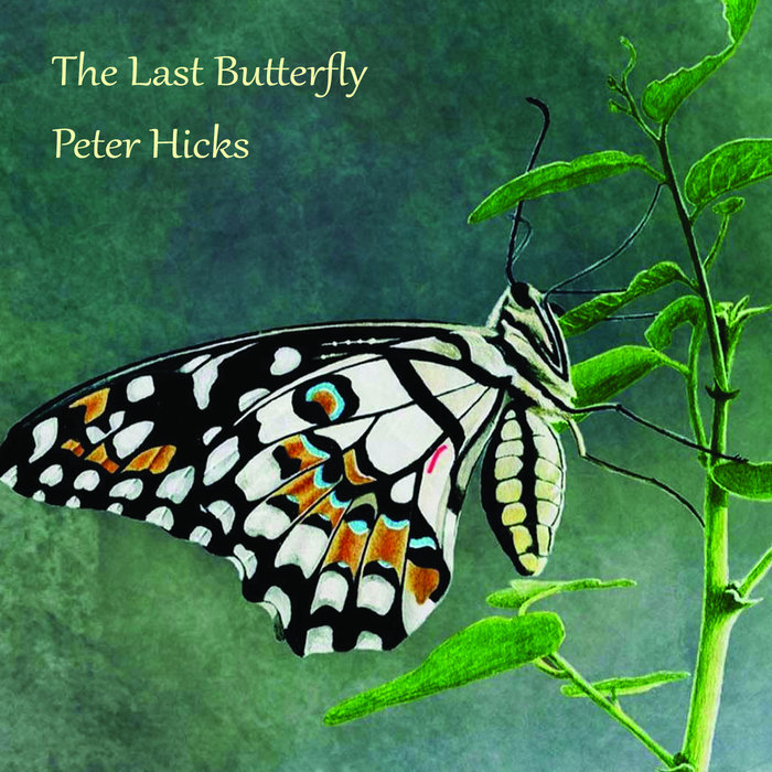 The Last Butterfly | Peter Hicks