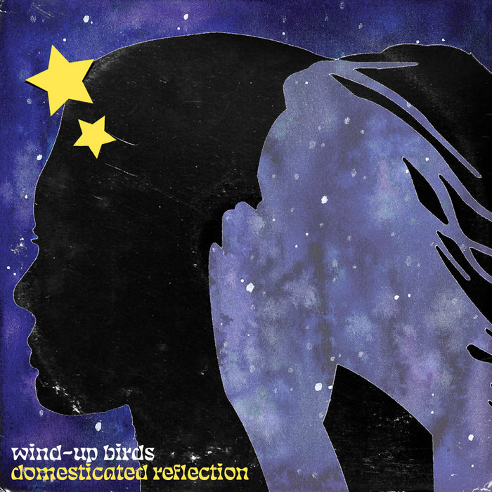 Domesticated Reflection | Wind-Up Birds