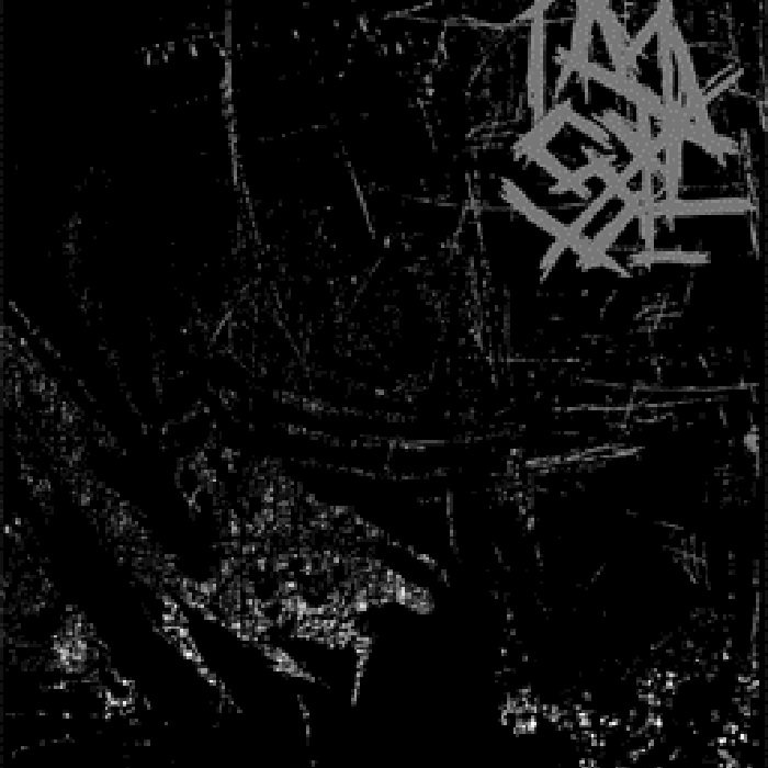 MMVIII | HABSYLL | ARS LONGA VITA BREVIS