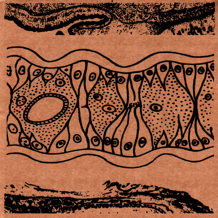 Split w/ tyhjiø | UMPIO